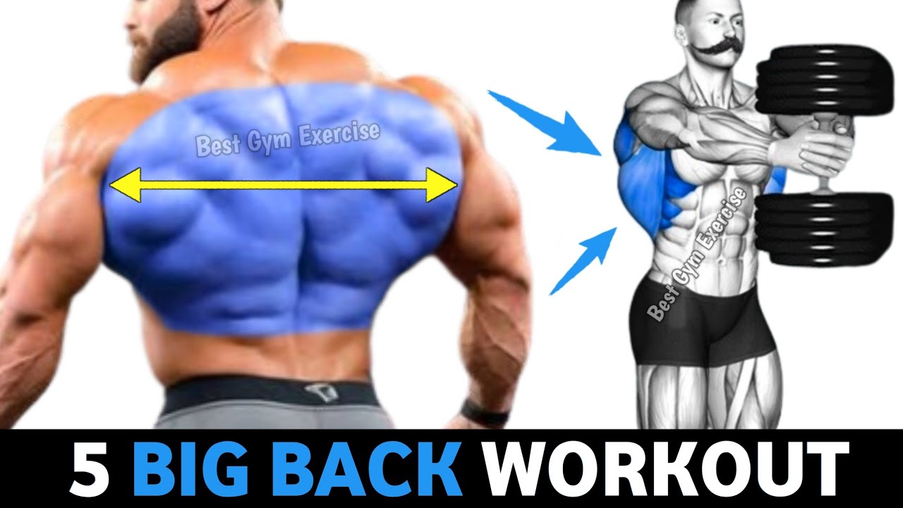 5 Powerful Exercises For Big Back - Back Workout - YouTube