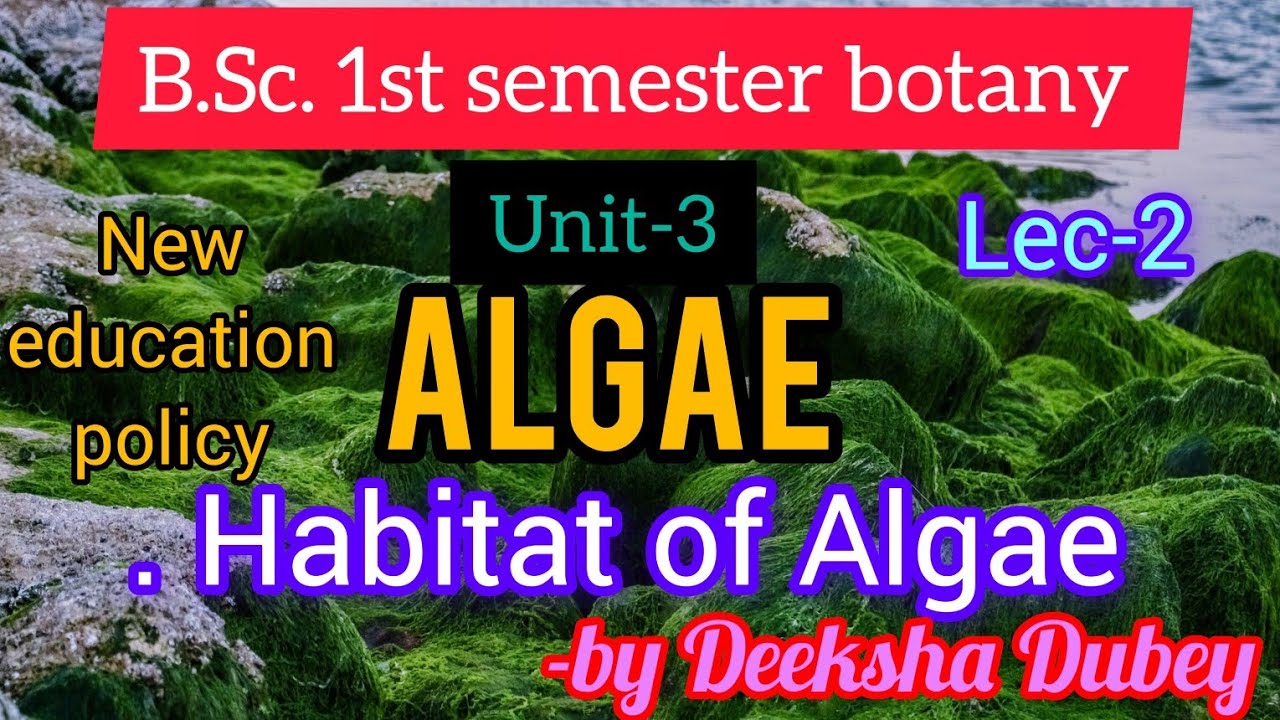 Habitat of Algae || Phycology|| Bsc 1st semester Botany unit 3 New Education policy #bscbotany # ...