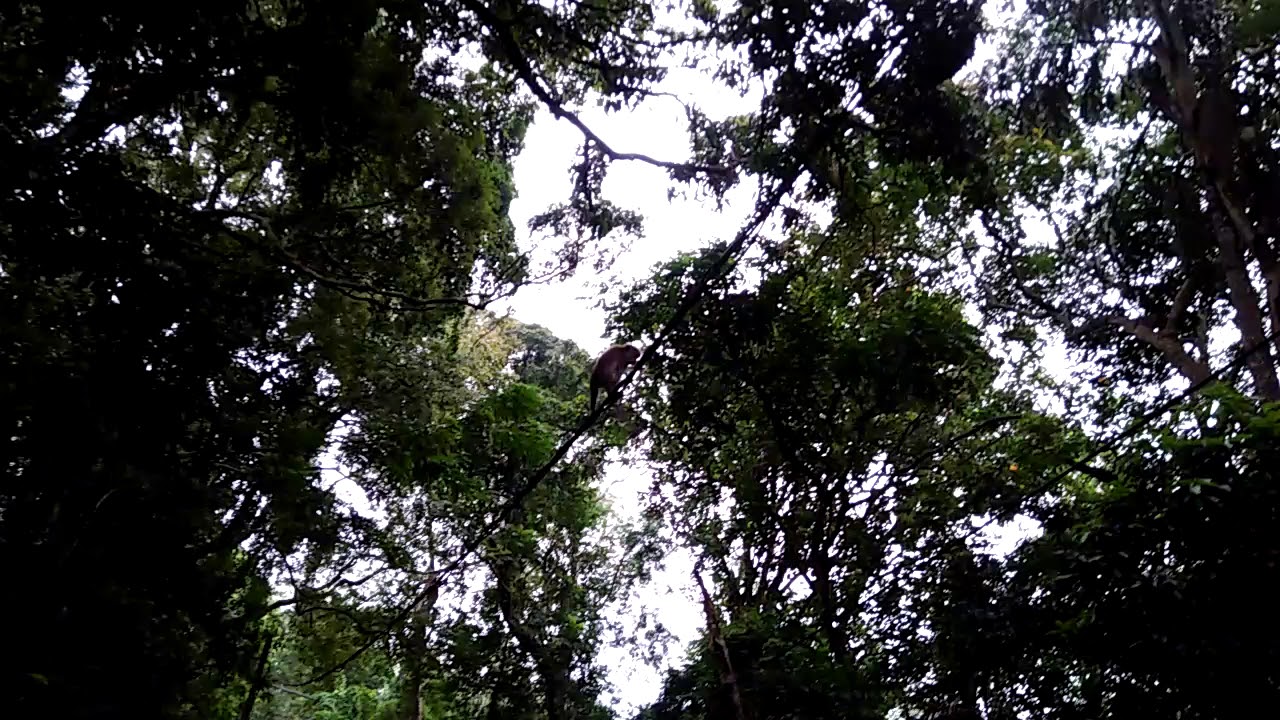 Dunumadalawa(1) - YouTube