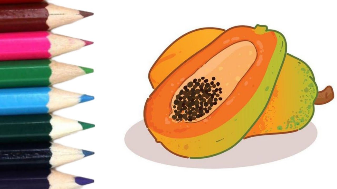 #papaya HOW TO DRAW A PAPAYA || EASY STEP BY STEP || DRAWING ACTIVITY ...