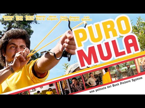 Puro mula película guatemalteca