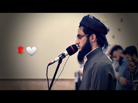 Qetëso zemrën me Kuran | Surja el-Mulk | Jusuf Othman - YouTube
