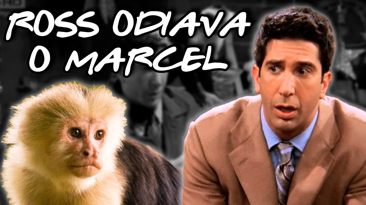 ROSS ODIAVA O MARCEL EM FRIENDS 🤷‍♂️🚫🐵 - YouTube