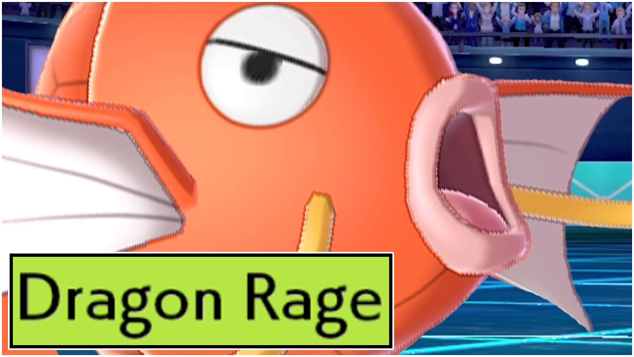 FULL SPECIAL EVENT POKEMON TEAM ! ( DRAGON RAGE MAGIKARP ) - YouTube