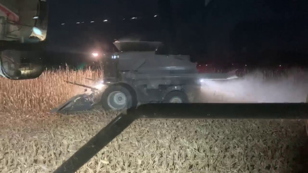 A Day Harvesting Down Corn 🌽 - YouTube
