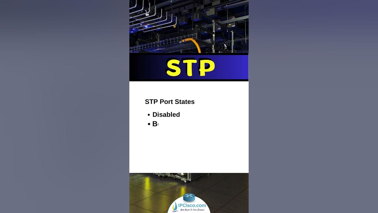 STP Overview IN 8 Amazing steps! | Never Forget! |IPCisco.com - YouTube