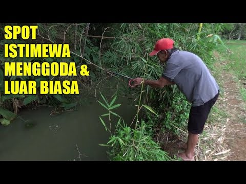 Gak Nyangka...! Mancing di Sini Bisa Dapat Ikan Segede ini