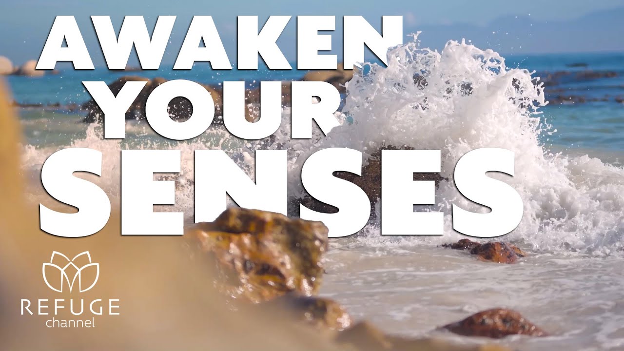 Soothing music, videos, and sounds for healing. - YouTube