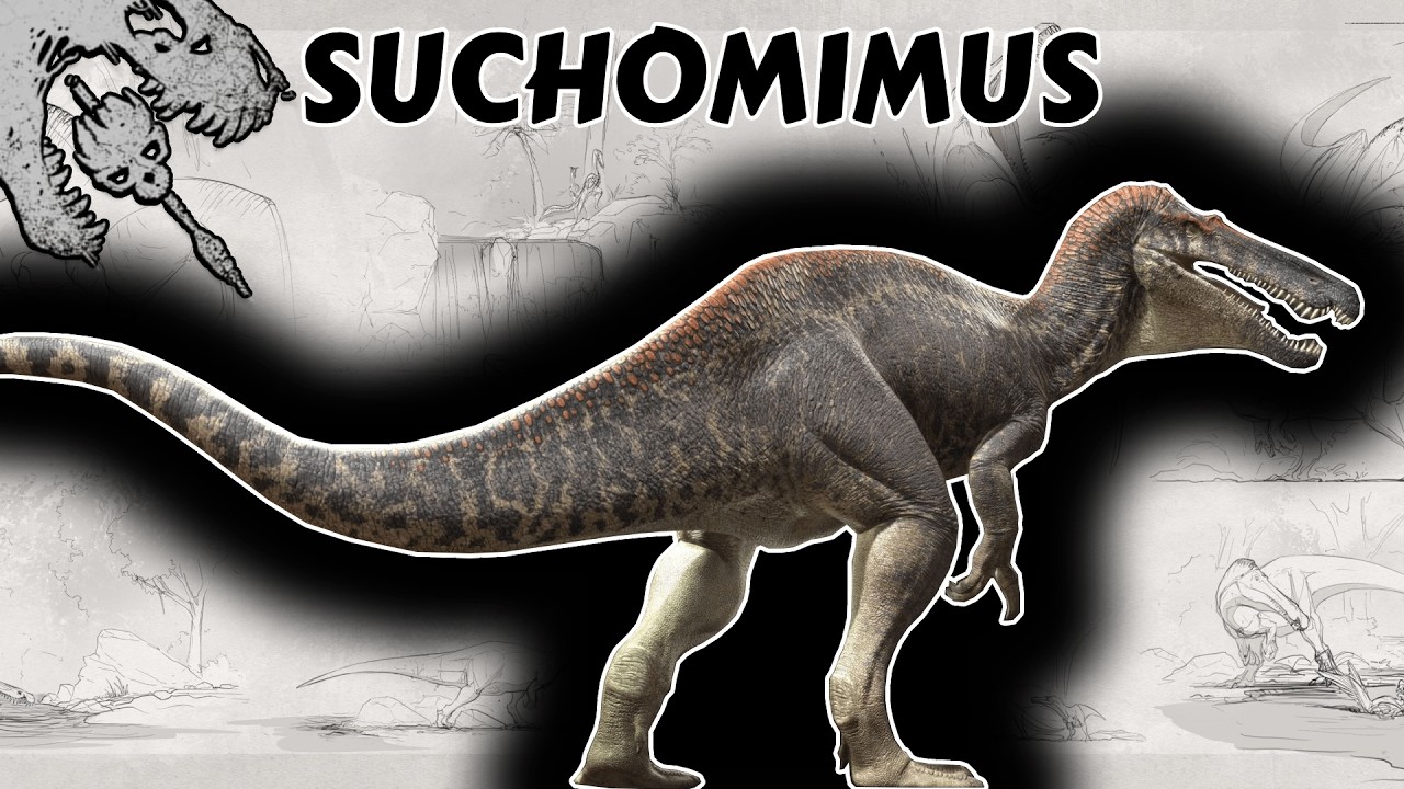 SUCHOMIMUS W THE ISLE EVRIMA. ANALIZA KONCEPT ART. - YouTube