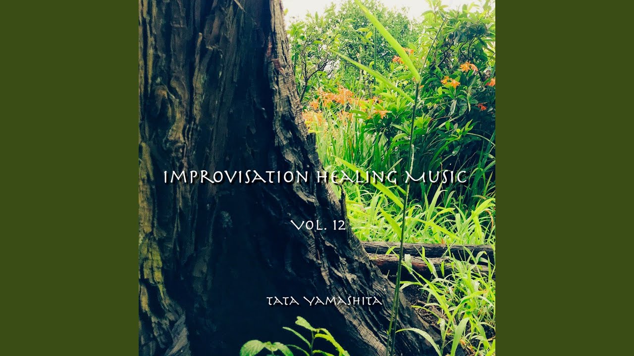 Improvisation Healing Music #107 - YouTube