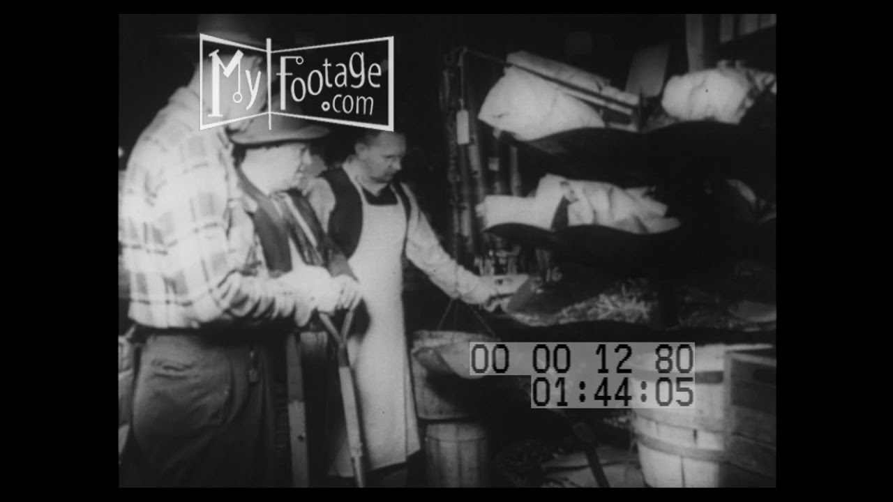 1950s Inflation and Economics - YouTube