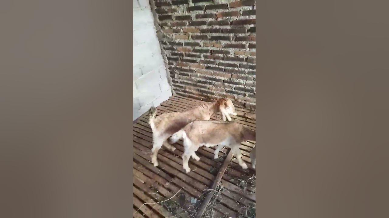 15 April 2024 - YouTube