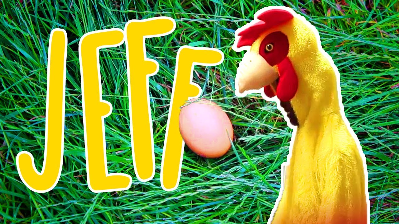 Jeff - A short film about an escaped chicken - YouTube