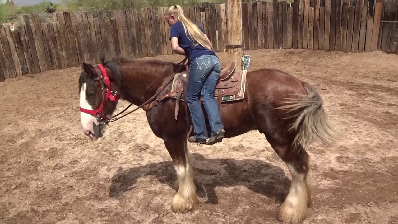 RUSTY LADD @ the Good Shepherd Ranch - YouTube