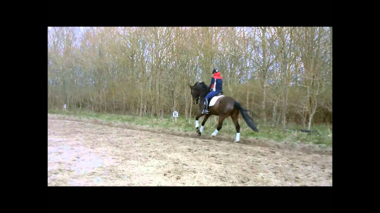 Donhill Højris - YouTube