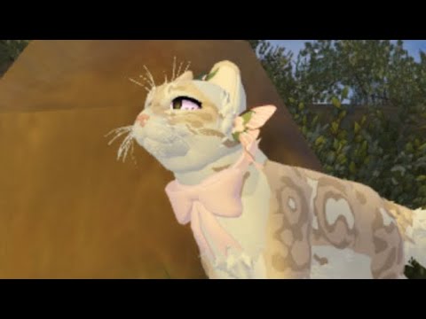 The truth should be heard. | WCUE edit (TW for Sensitive topics) - YouTube