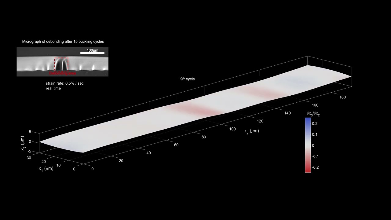 Buckling of Si thin film on the elastomer substrate - YouTube