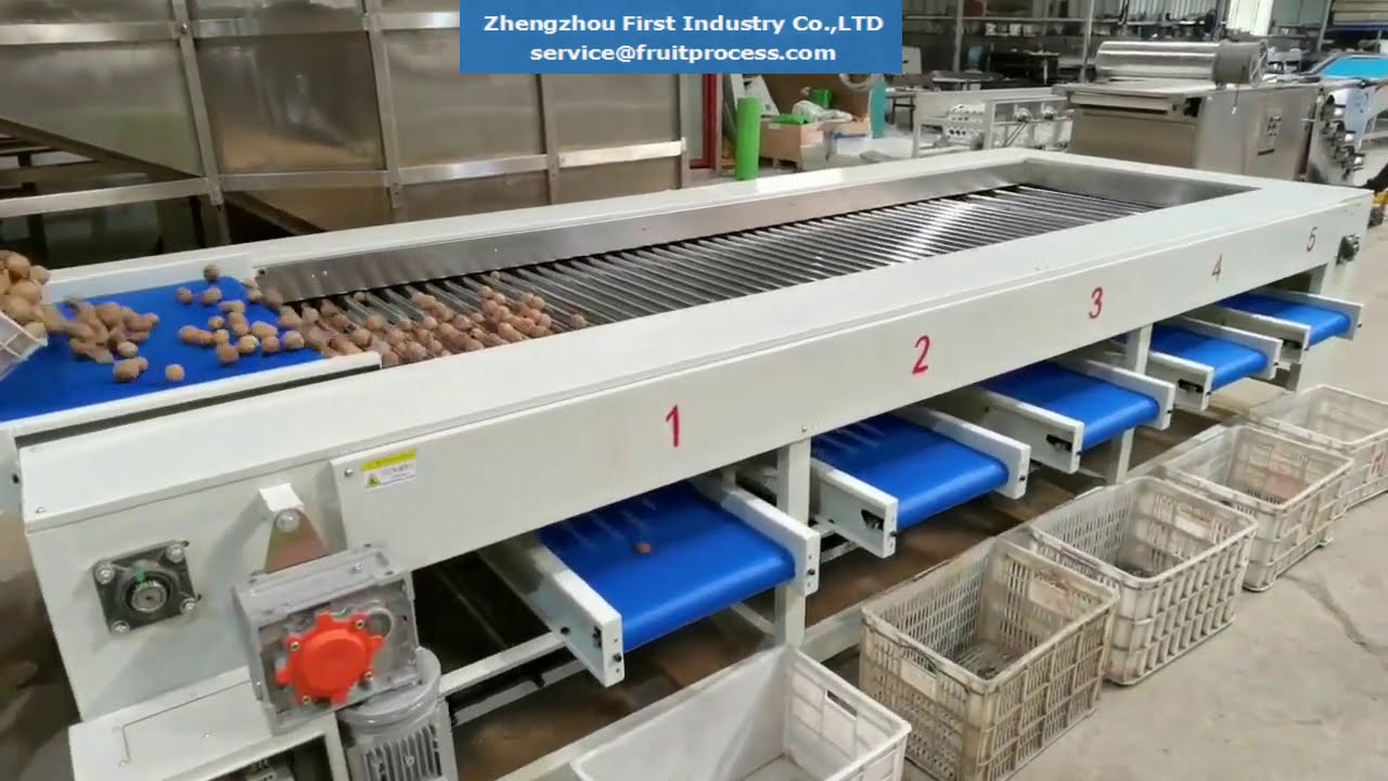 Walnut sorting equipment, walnut sizing - YouTube