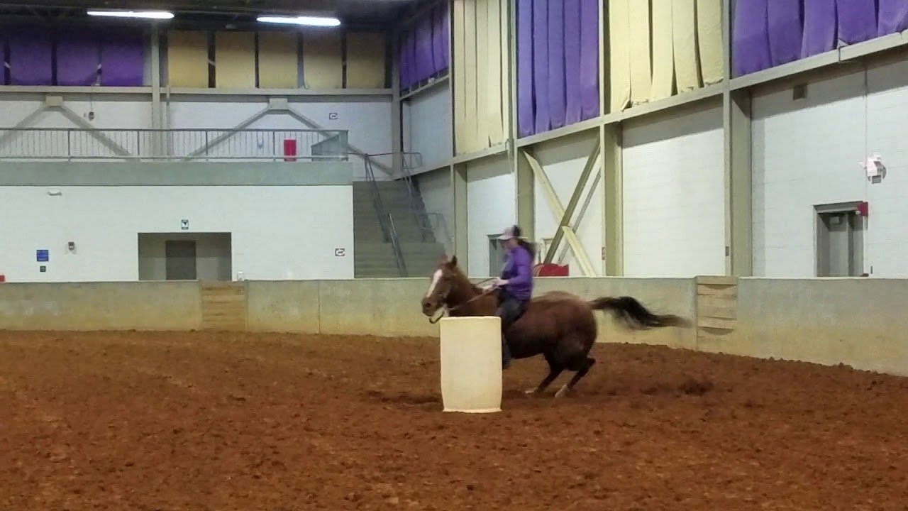 Bareback Barrel Racing Sara Walker - YouTube