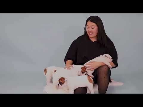 Nylon pantyhose feet put to bite test
