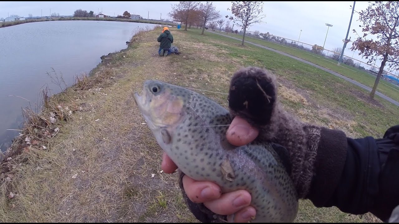 Trout Fishing Extravaganza!! - YouTube
