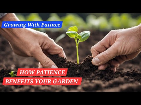 How Cultivating Patience Leads to Bountiful Garden ...