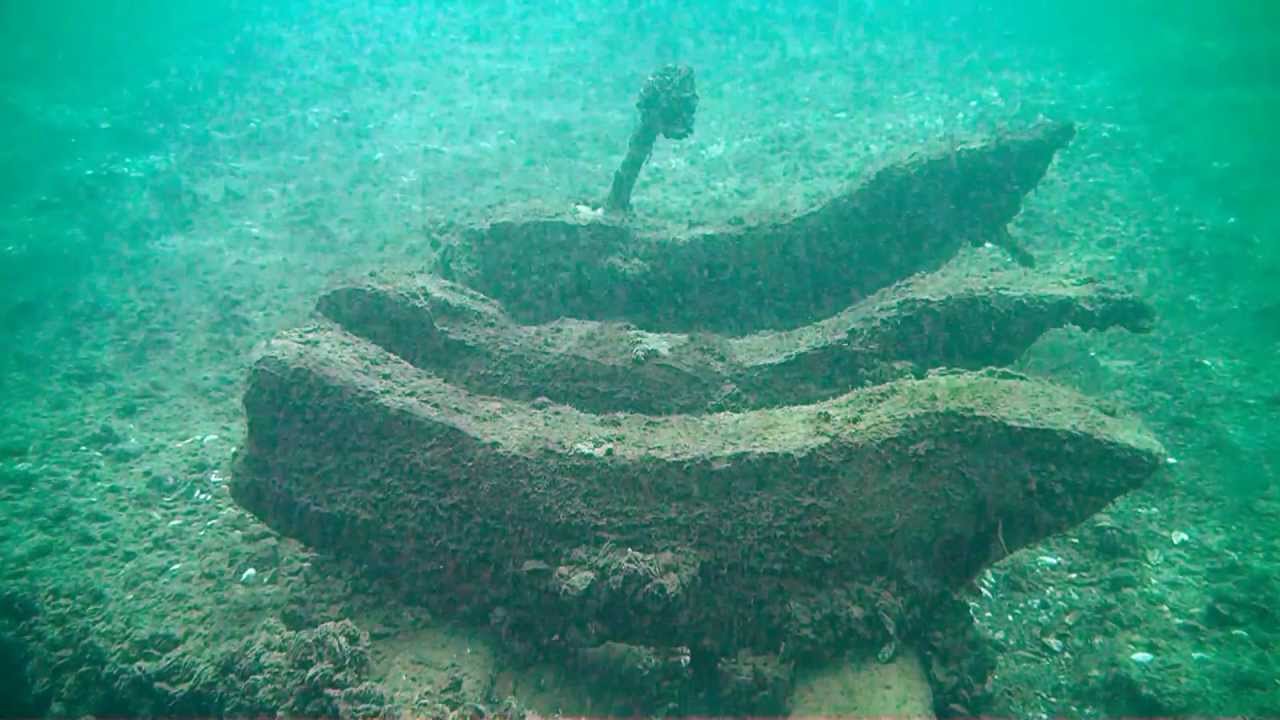 Finch, lake Erie - YouTube