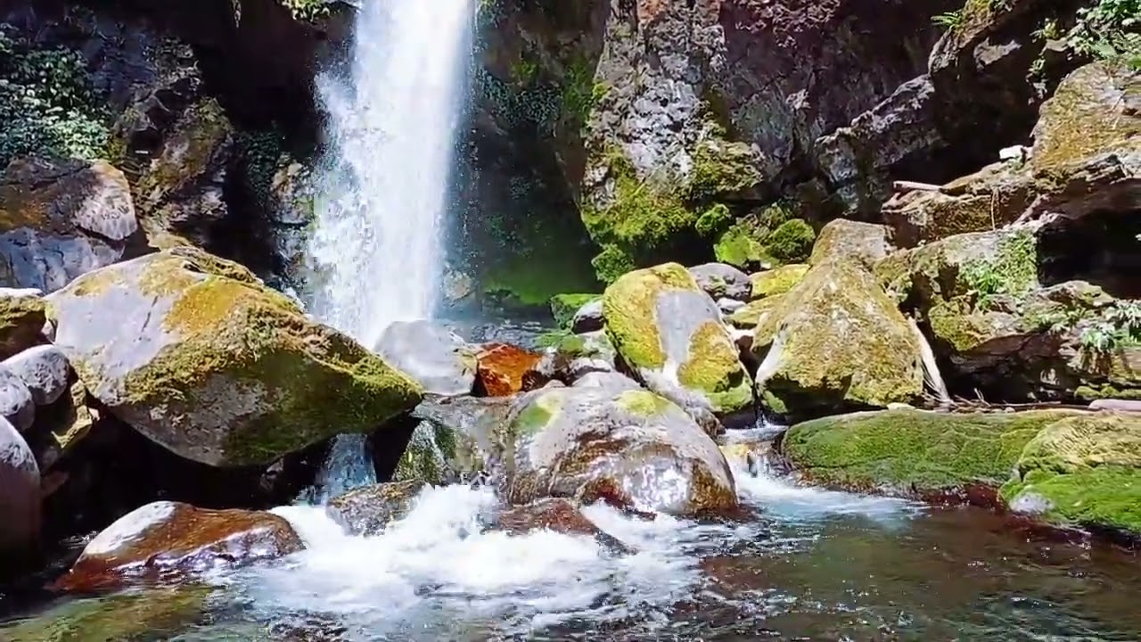 10 Best Waterfalls to Discover in Sikkim with Tour Packages