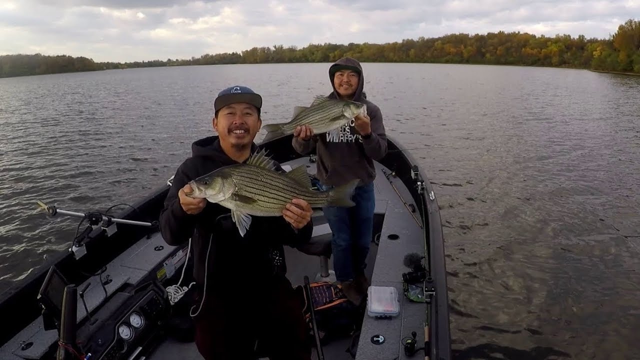 The Wipers Were Still Busting Baits - YouTube