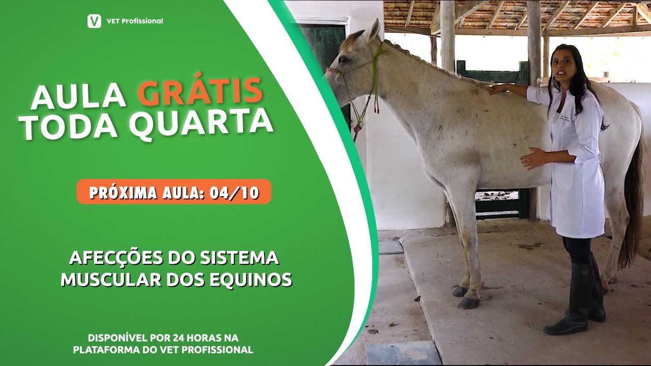 Exame Clínico do Sistema Muscular de Equinos - YouTube