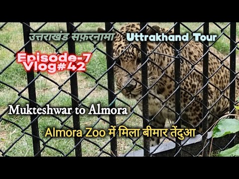 Mukteshwar to Almora || Almora Zoo | Leapord | उत्तराखंड सफ़रनामा ...