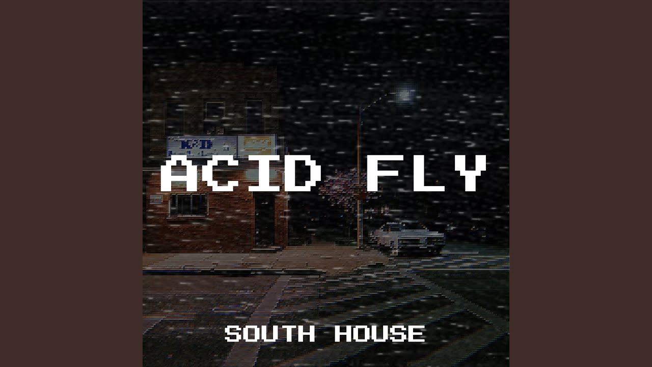 Acid Fly - YouTube
