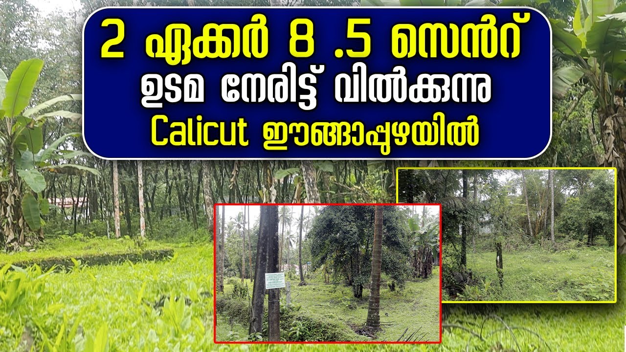 Prime Land for Sale Calicut: 2+ Acre Main Road Plot in Engapuzha ...