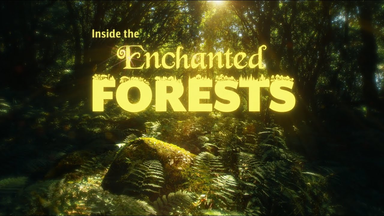 Inside the Enchanted Forests (Part 5) — EN / RU subs - YouTube