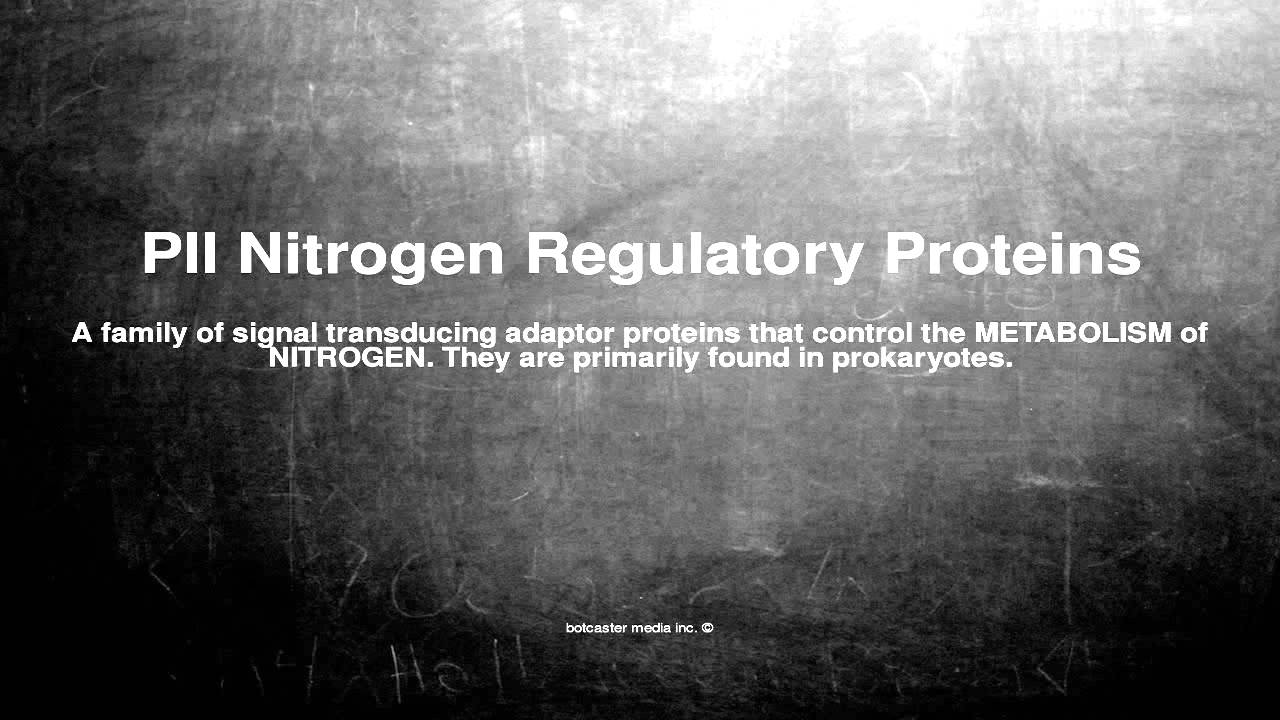 Medical vocabulary: What does PII Nitrogen Regulatory Proteins mean ...