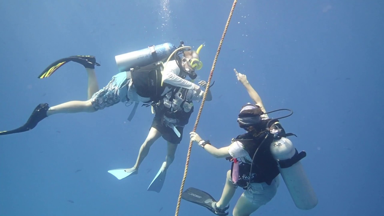 Diving With Heroes 2019 - YouTube