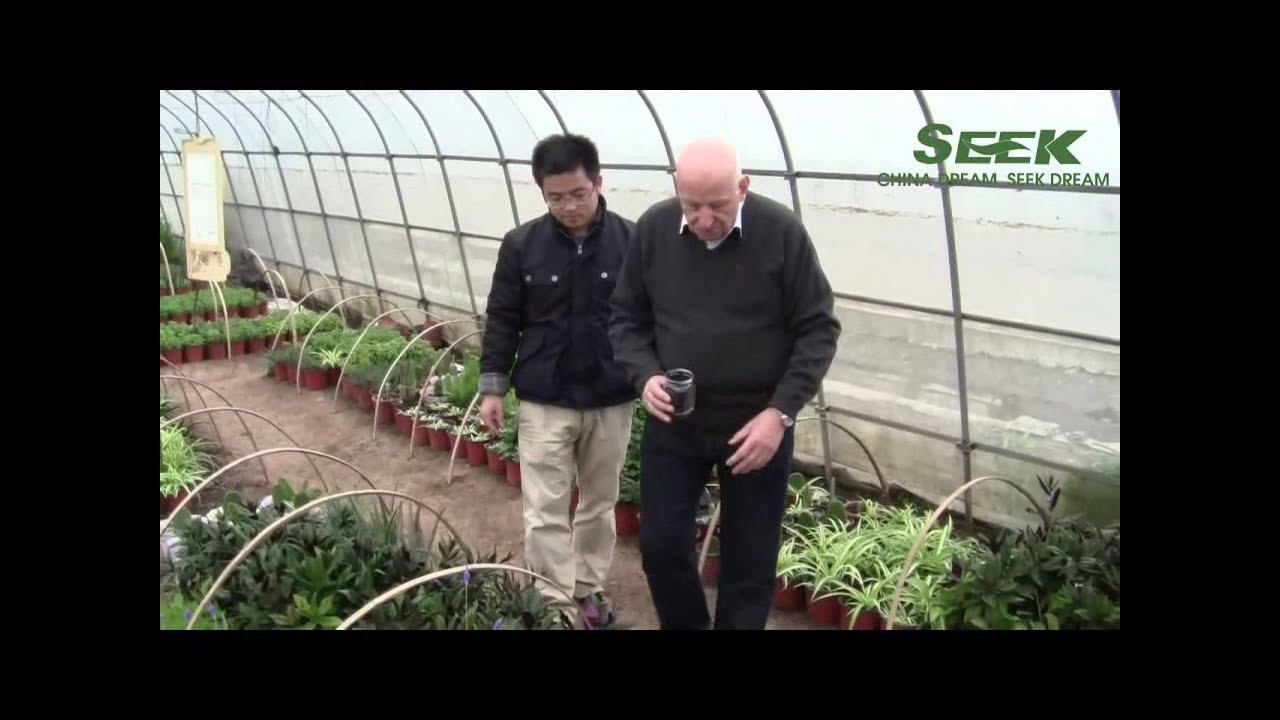 how to apply bamboo biochar fertilizer in pot culture - YouTube