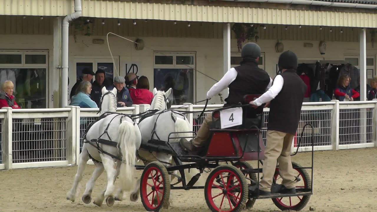 British Indoor Carriage Driving Finals, 2017, cones, pony pairs winner ...