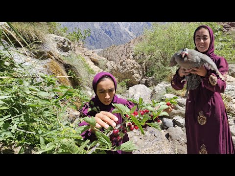 Parvaneh’s Adventure | Wild Fruits & Hidden Waterfalls 🍓💦🏔️✨