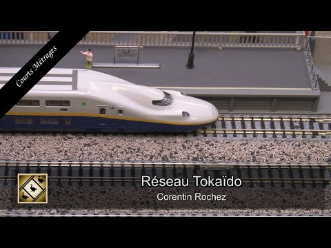 Modélisme : Réseau « Tokaïdo ». Corentin Rochez