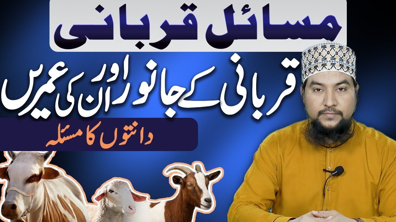 Qurbani Kay Janwer aur Unki Umar | Muhammad Farhan ...