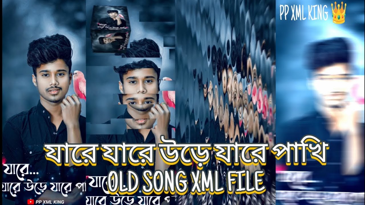 যারে উড়ে যারে পাখি OLD BANLA SAD XML//EDIT BY-PP XML KING 👑 - YouTube
