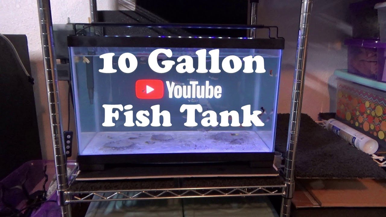 How to DIY YouTube Fish Tank - YouTube