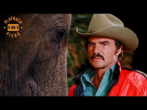 The Baby Elephant is Born | Smokey and the Bandit II
