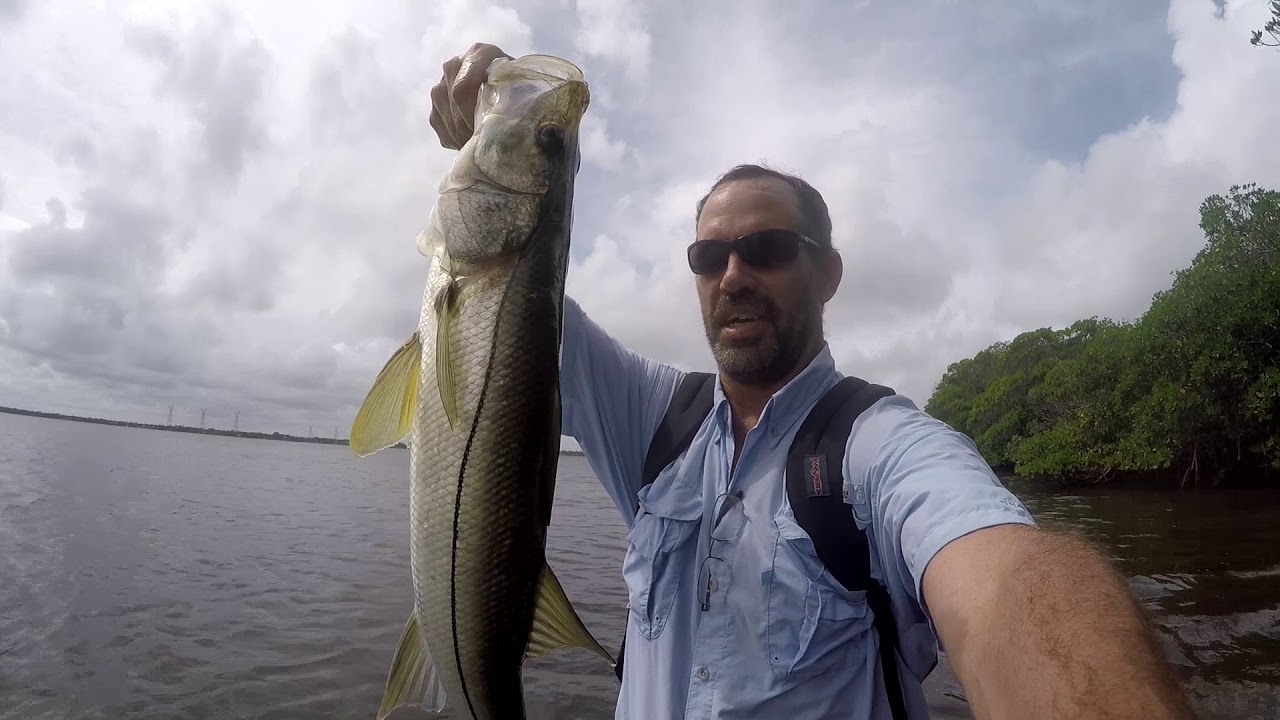 Fall Wade Fishing On The Indian River - YouTube