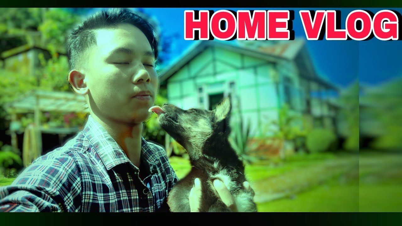 MY FIRST HOME VLOG🤗/WITH MY DALLAY♥️/ SUJIT ALLEY - YouTube