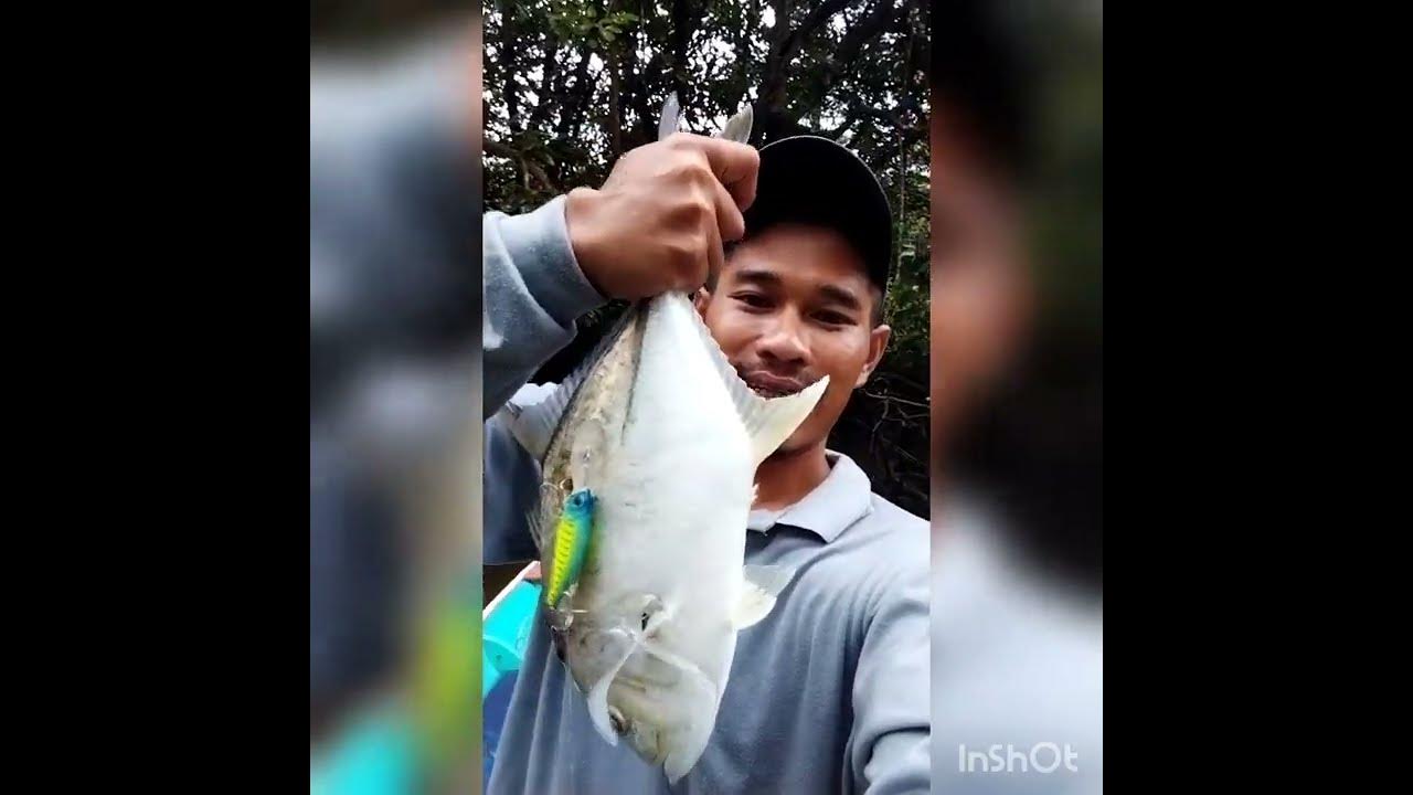Ikan Jt Lagi Youtube