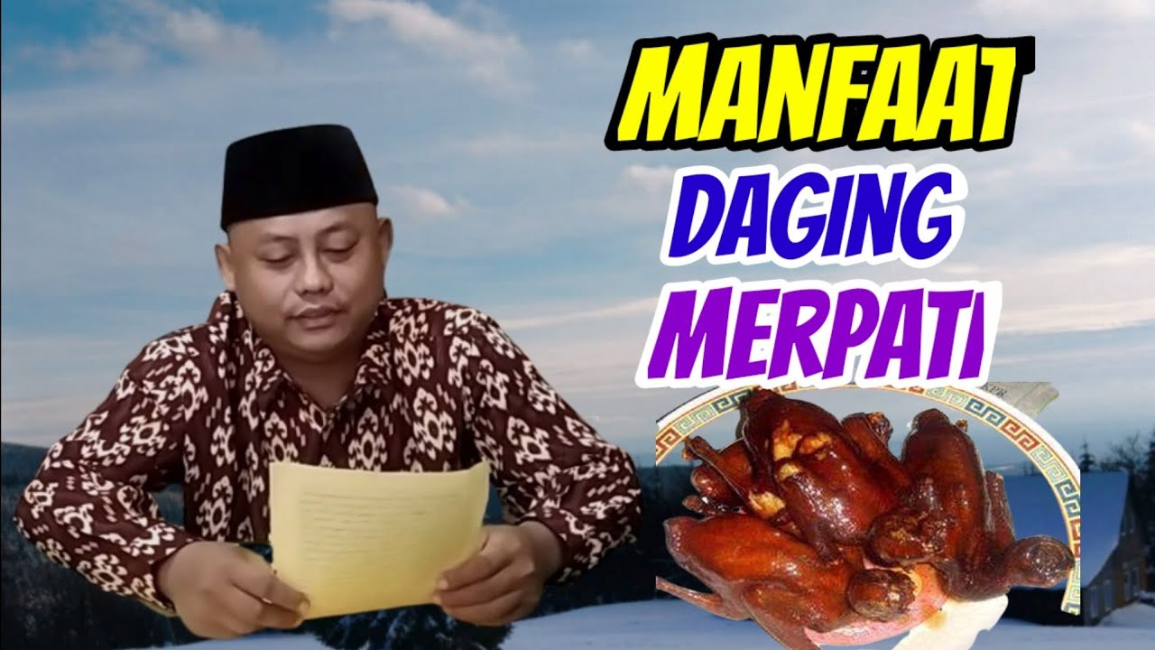 Burung merpati || Manfaat daging merpati - YouTube