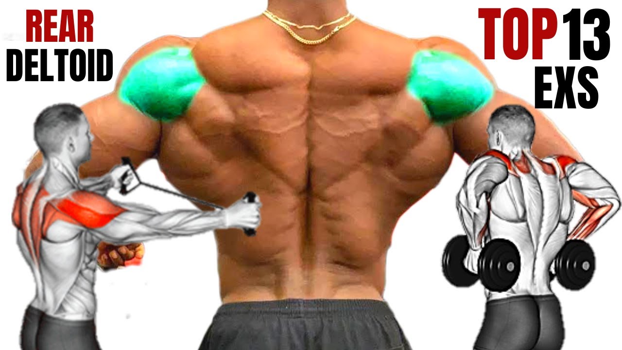 TOP 13 REAR SHOULDERS WORKOUT WITH BARBELL DUMBELLS AND CABLE - YouTube