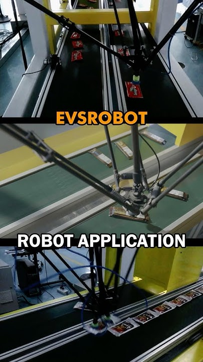EVSROBOT - Food Sorting Robot Application#evsrobot #industrialrobots #delta #foodindustry # ...